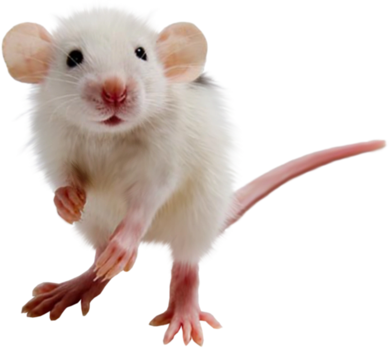 Off-topic but... | Fandom