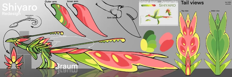 Sonaria News 8/8/2023: New Warden Eigion Warden revealed + Shiyaro ...