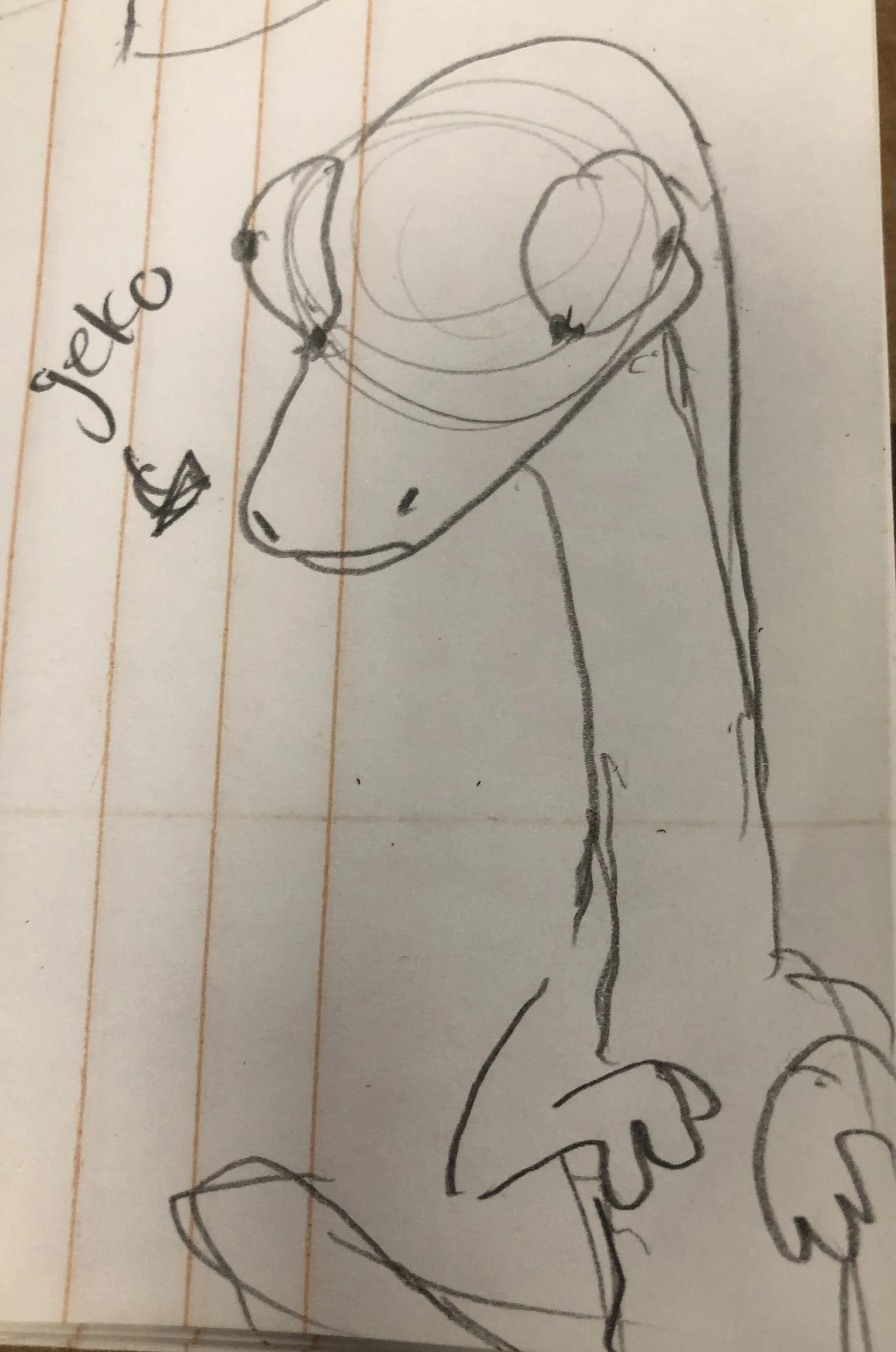 my friend laughed at this silly gecko | Fandom