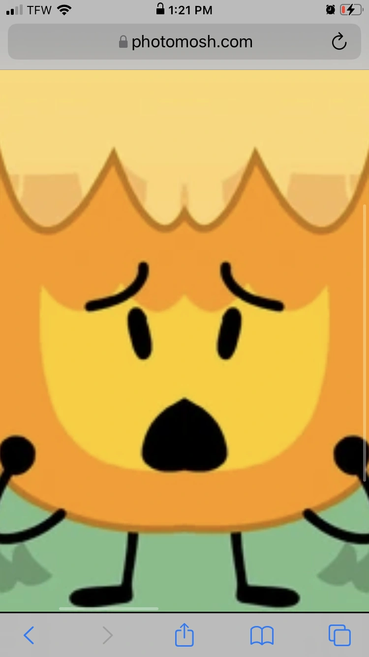 Firey’s mouth looks like a upside down heart | Fandom