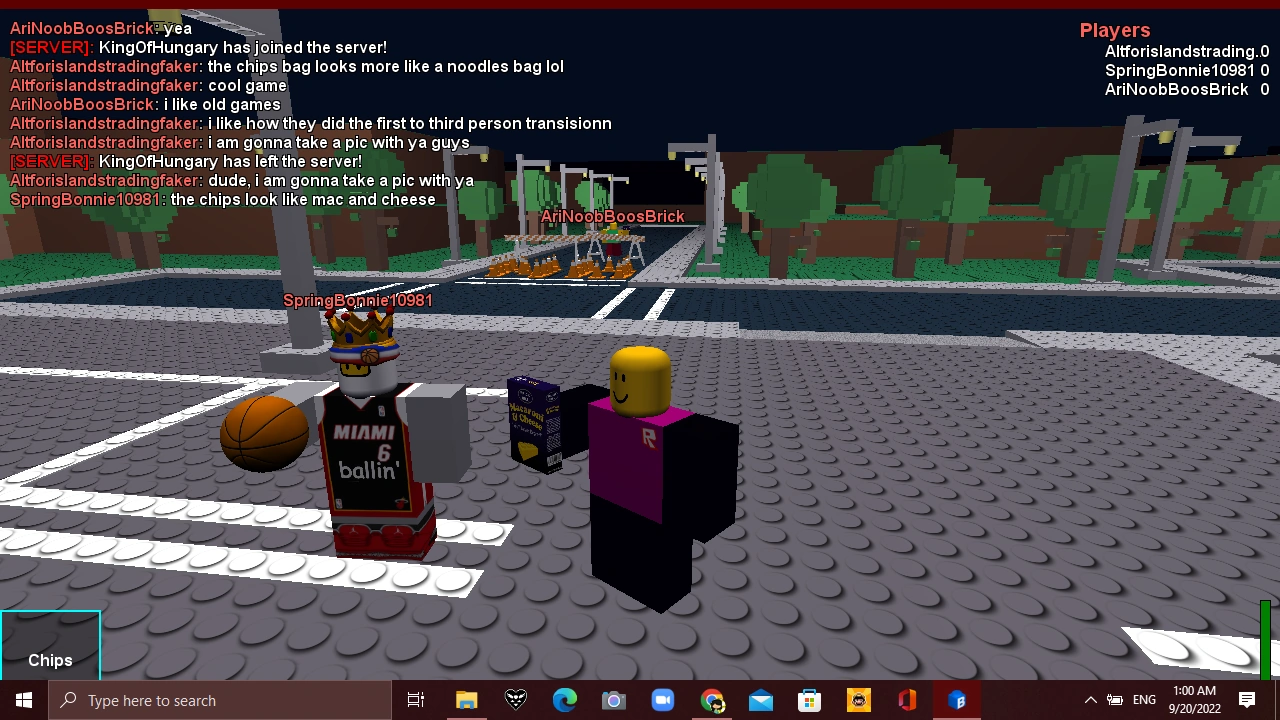 Another pick Of Brick Hill | Fandom