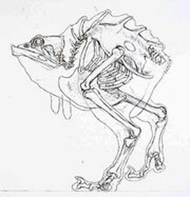 ☀️ [Sports and Star Wars] #38: Nuna-ball | Fandom