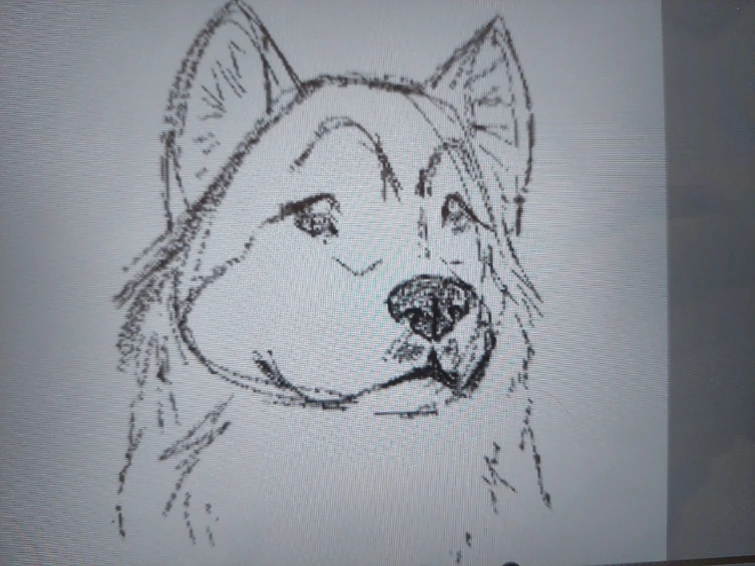 Drawing someone's favorite animal or Theriotype | Fandom