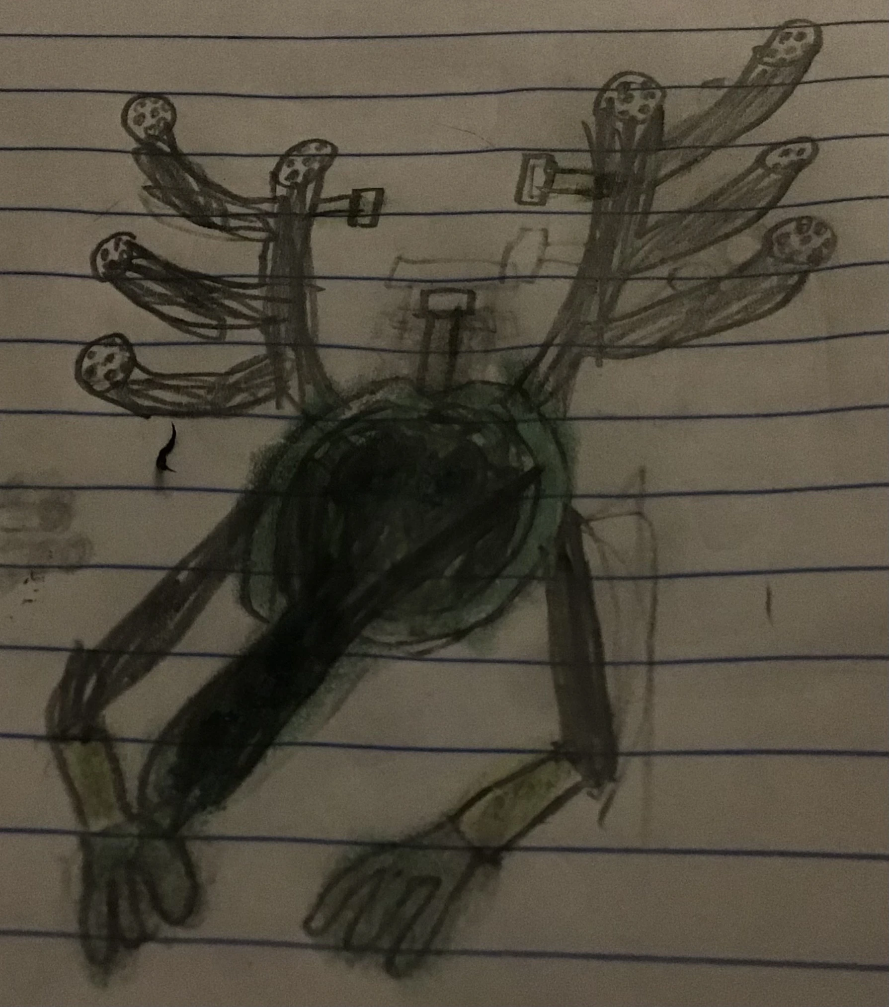 Rare Floot Fly | Fandom