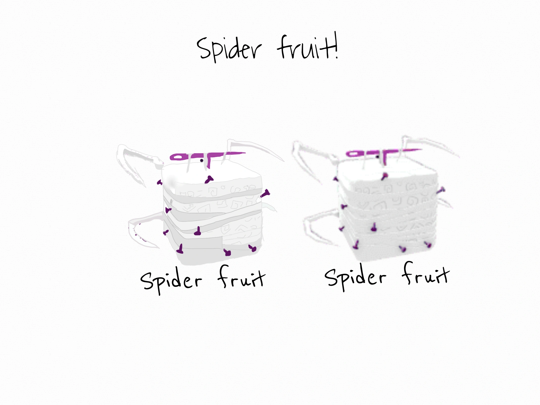 I’m drawed spider fruit! | Fandom