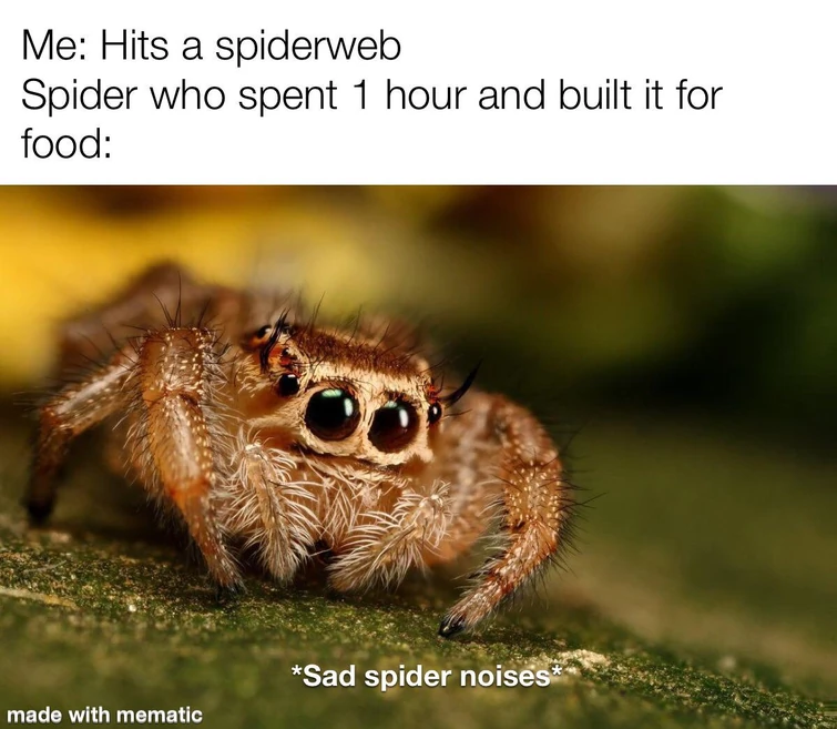 Image of the Day - Day #6 - | Fandom