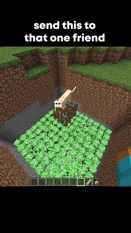 Akito is the cat | Fandom