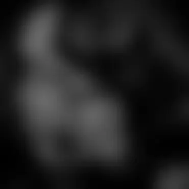 MIBU Phase Tourney: Poll 9 | Fandom