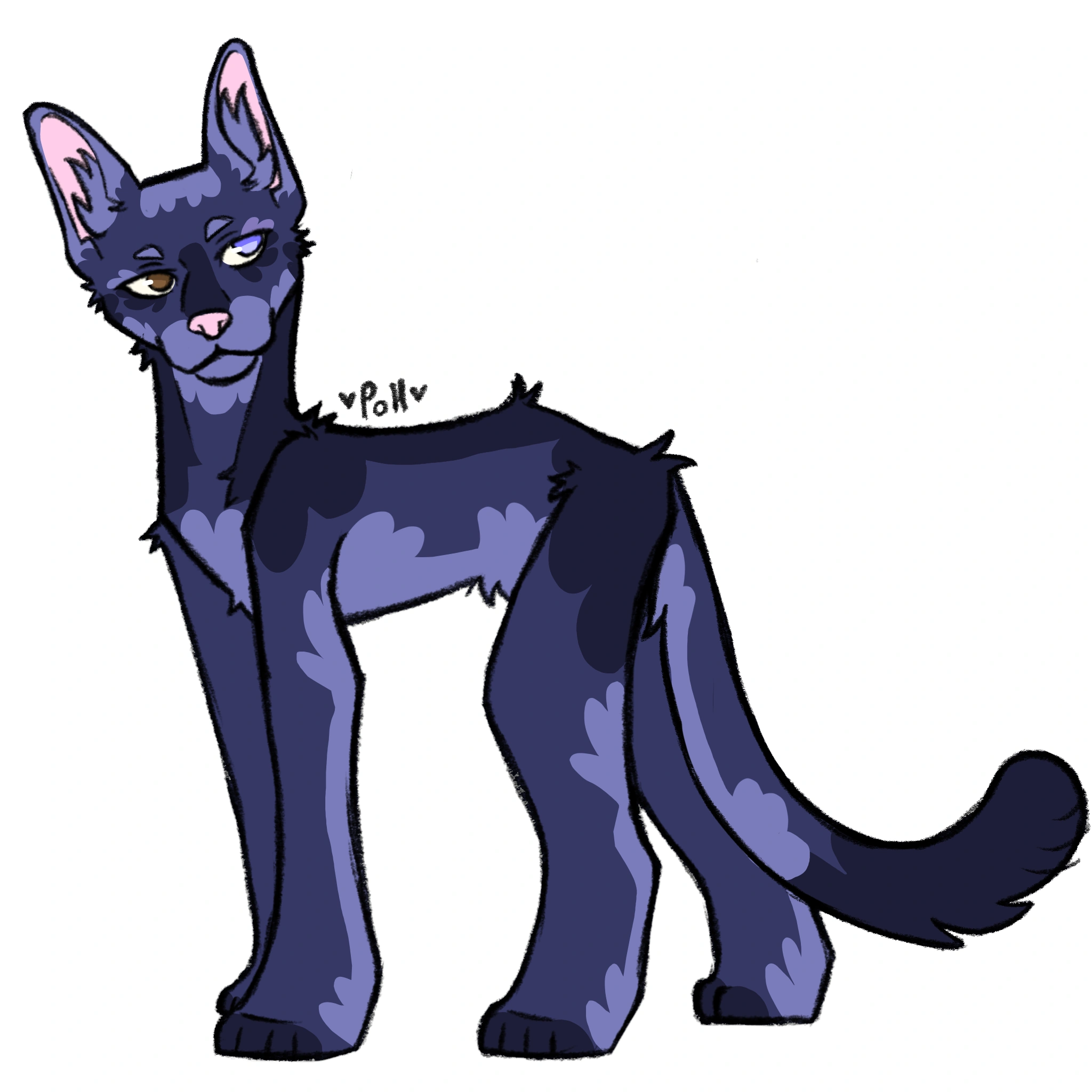 Cat timw | Fandom