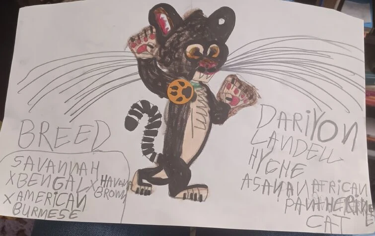 Dariyon Hyche as a Domestic Cat (Savannah X Bengal x Havana Brown x ...