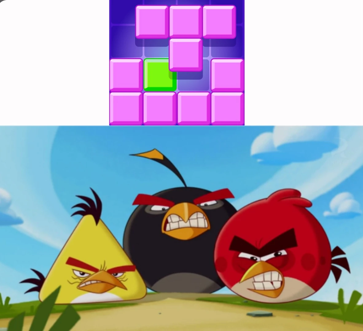 Red, Chuck, and Bomb hates angry birds block quest | Fandom