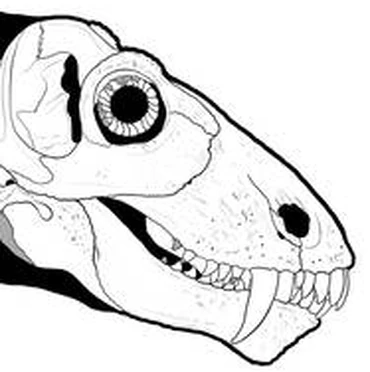 Discuss Everything About Dinopedia | Fandom