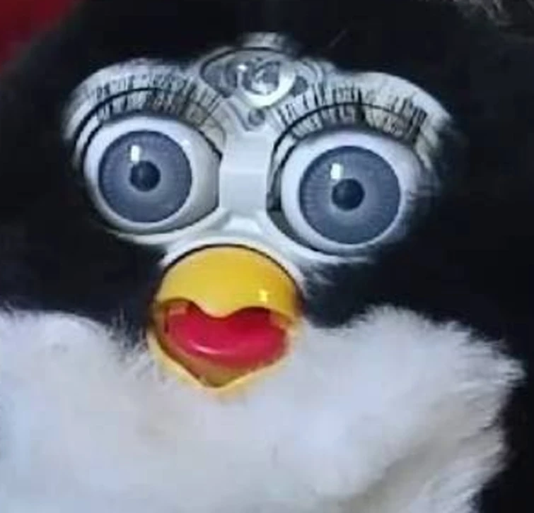 Collection of shocked Furbys | Fandom