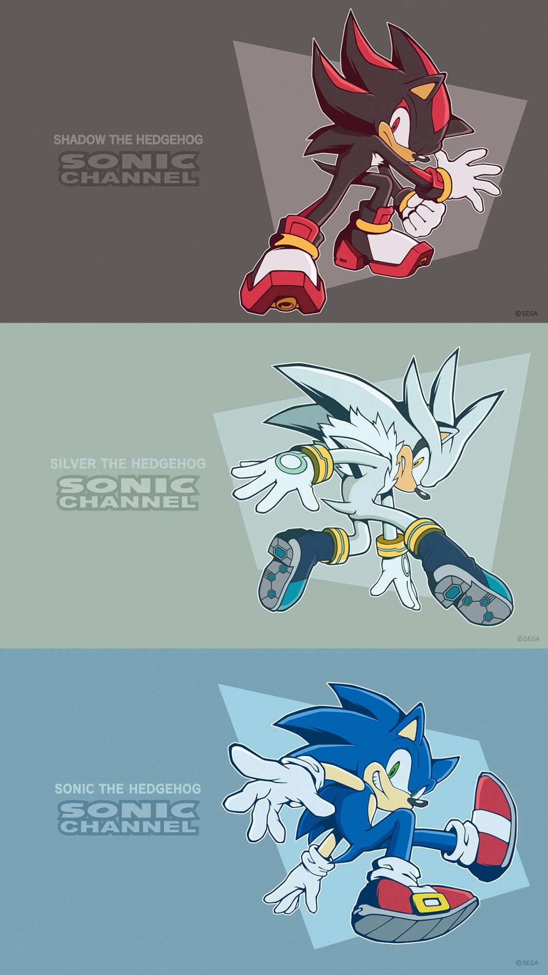 Team SSS Sonic Channel 2025 Wallpaper | Fandom