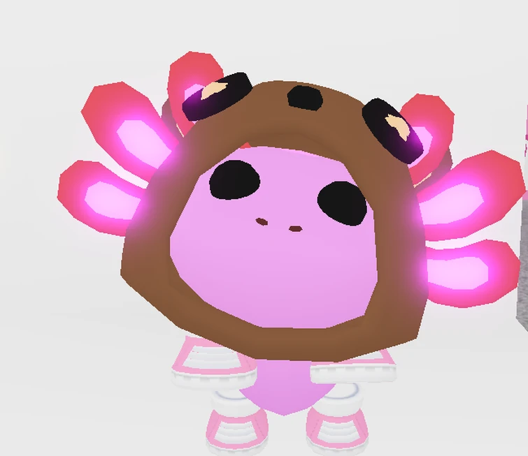 Favorite Pets | Fandom