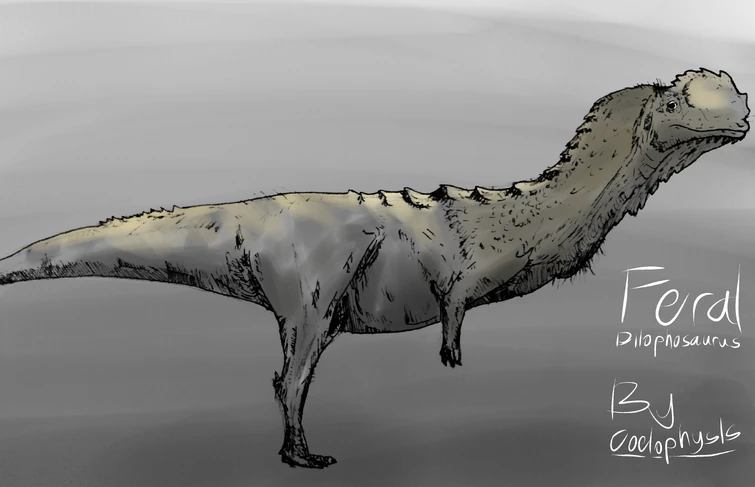 Some skin concepts | Fandom