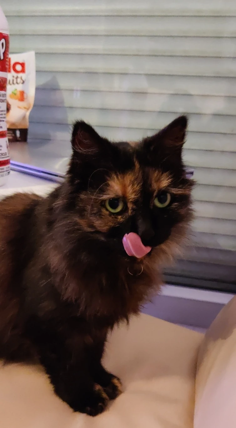 June Compilation | Fandom