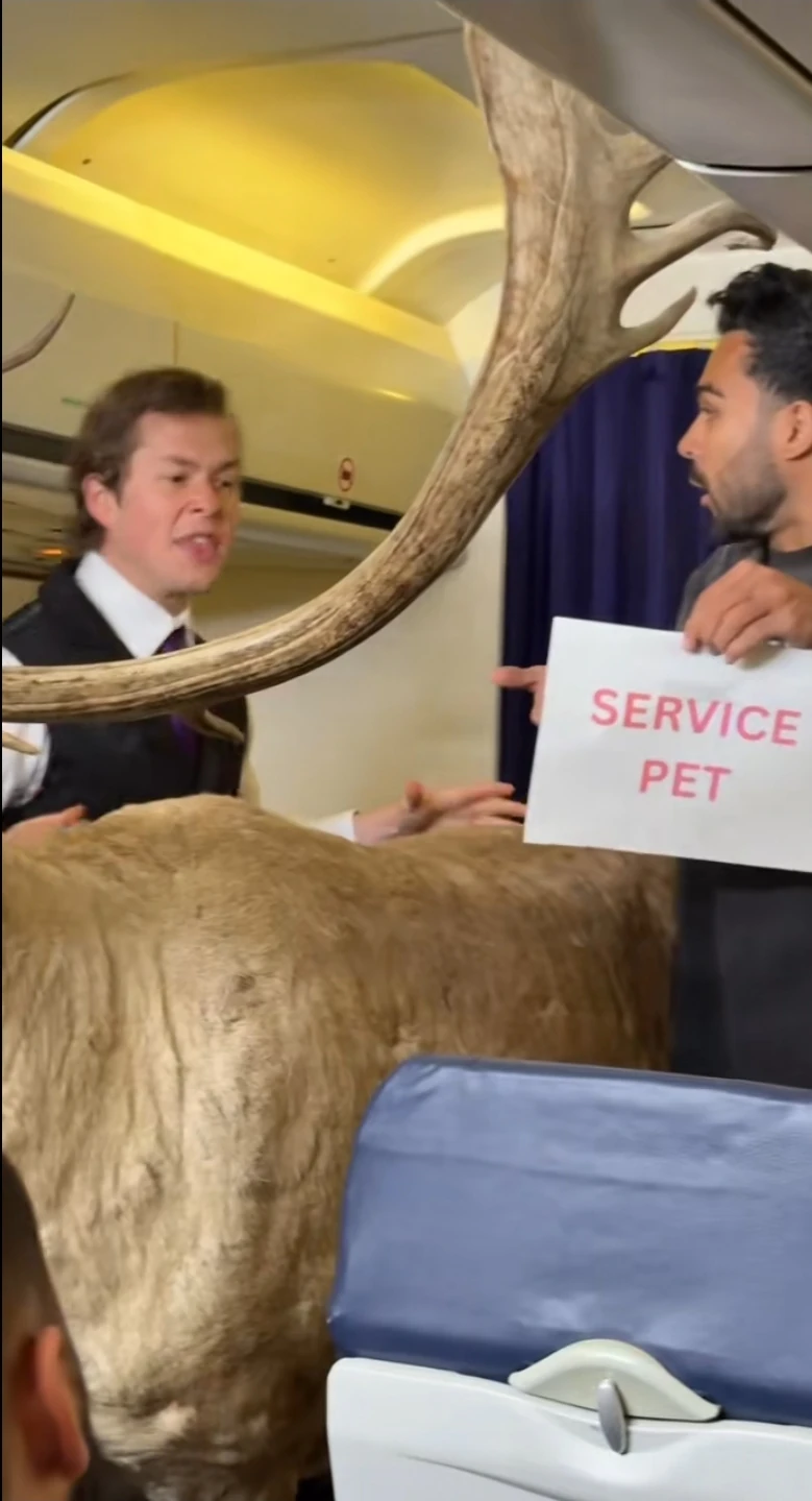 Can somebody draw a crappy drawing of Sigrid bringing her elk on a ...