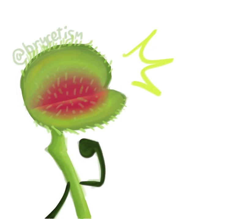 venus flytrap oc | Fandom