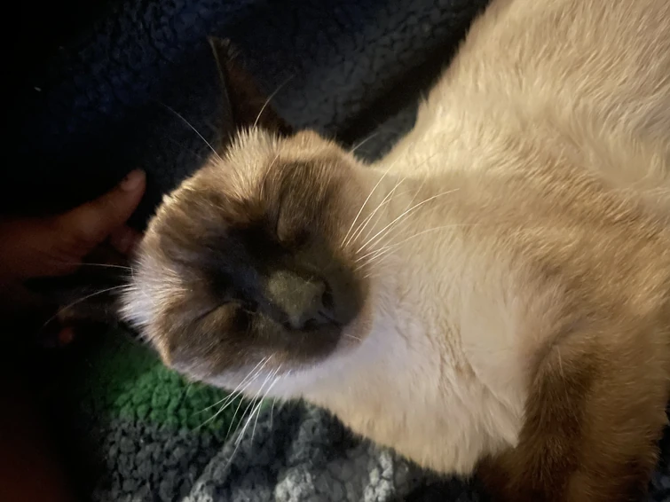 SHES A SLEEBY WEEBIE 🥹 | Fandom