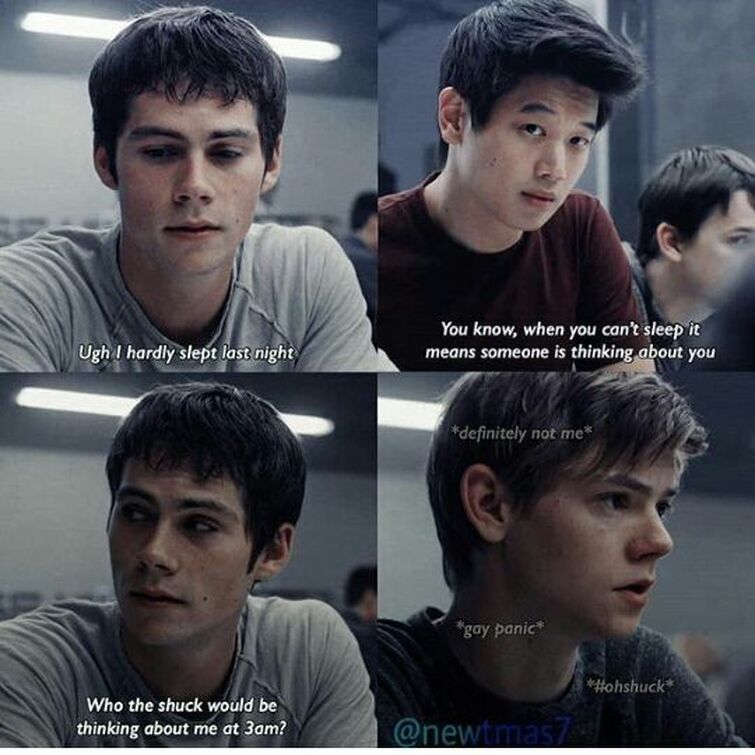 A few TMR memes | Fandom