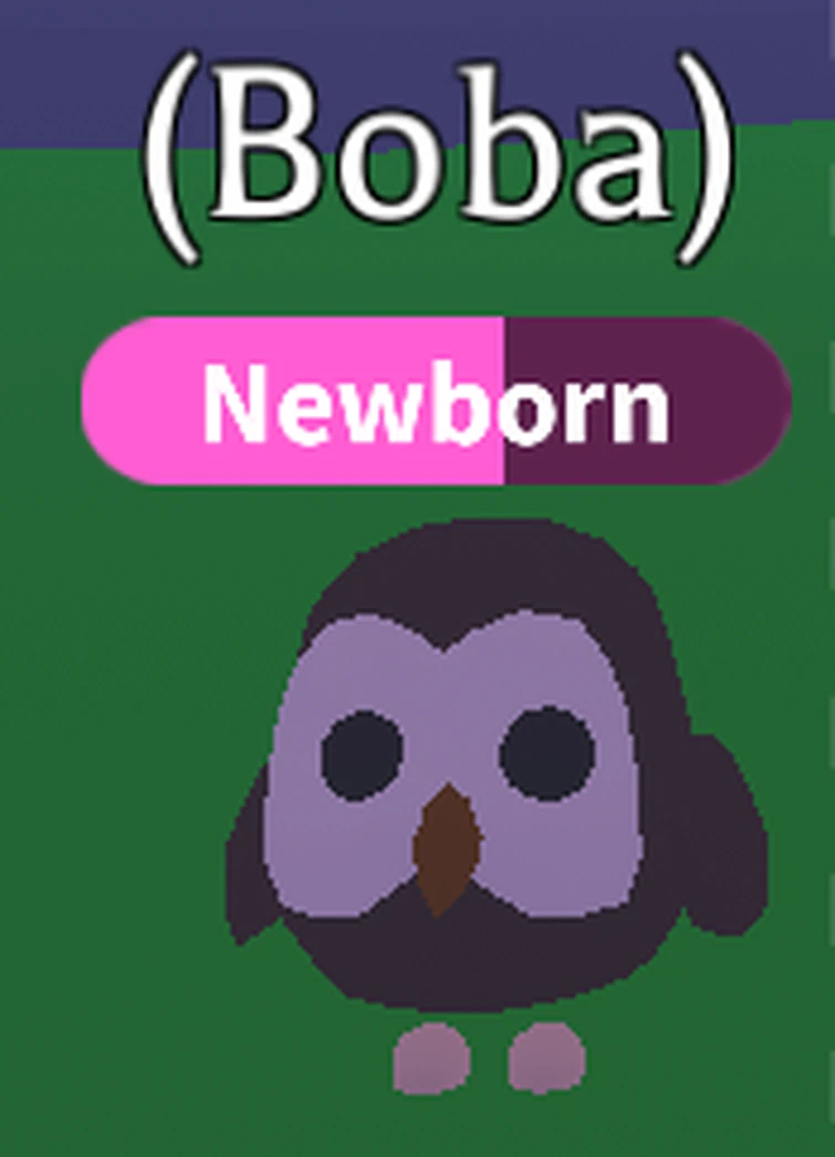 Write one of the most common adopt me pet names | Fandom