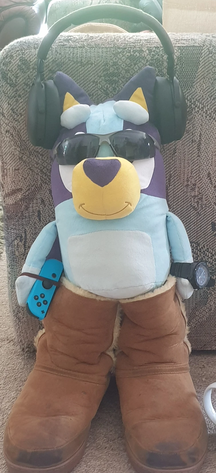 Bluey's Cool Now | Fandom