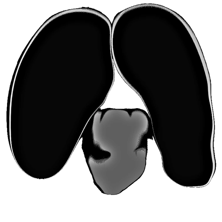 This is O-5. | Fandom