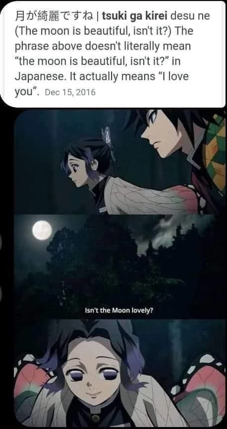 The moon meme | Fandom
