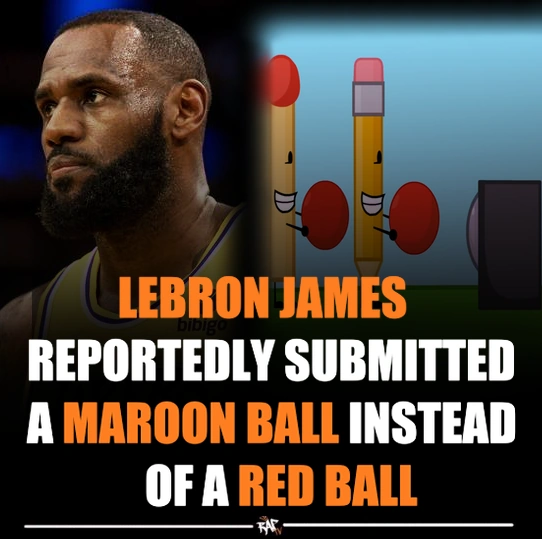 Did LeBron James actually do this | Fandom