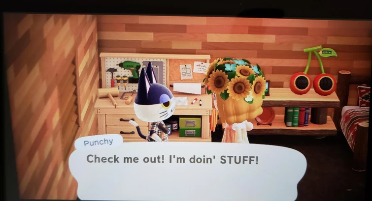 Discuss Everything About Animal Crossing Wiki | Fandom
