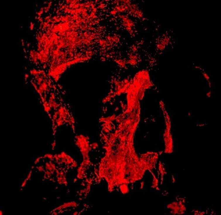 Phase 165 Possible Origin? | Fandom