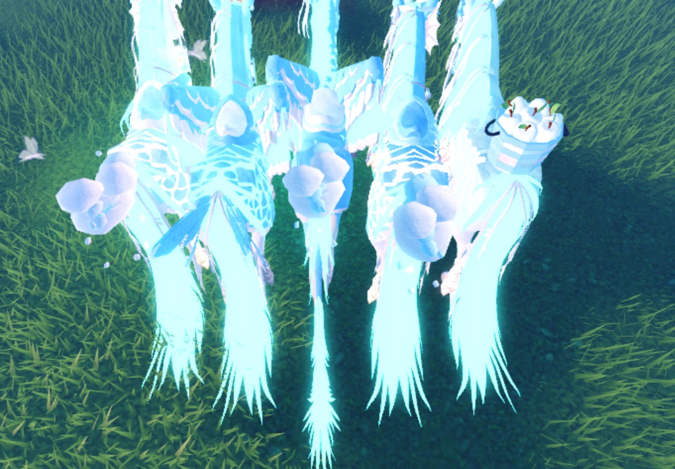 New raspberry glow species dropping soon.. | Fandom