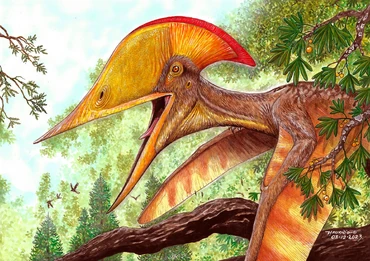 Discuss Everything About Dinopedia | Fandom