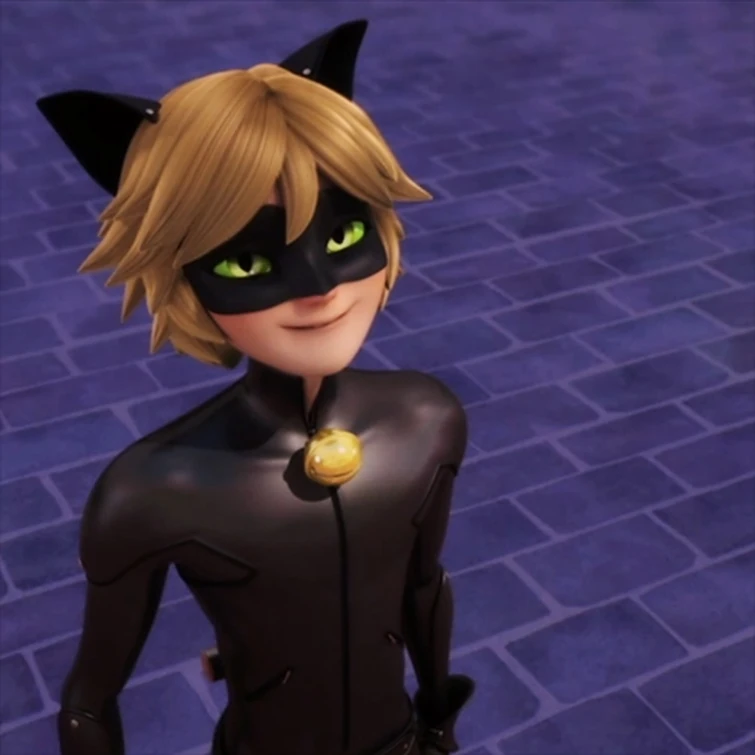 Cat noir! | Fandom