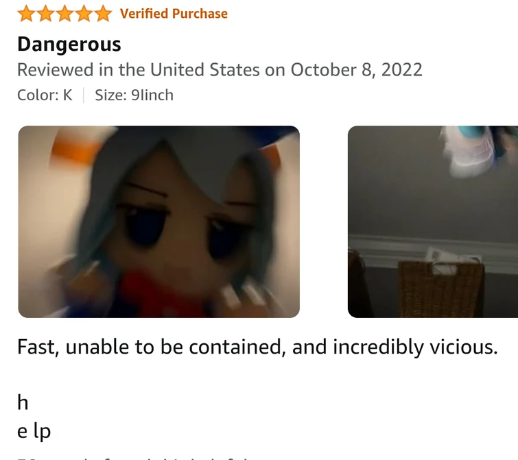 unhinged knockoff fumo reviews *implied NSFW image warning* | Fandom