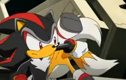 Why did Shadow punch Tails? [wrong answers] | Fandom