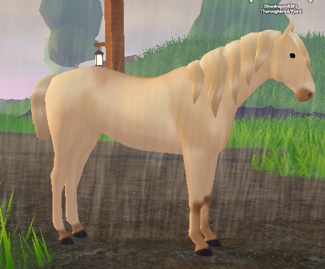 What color tack should i get for these horses? | Fandom