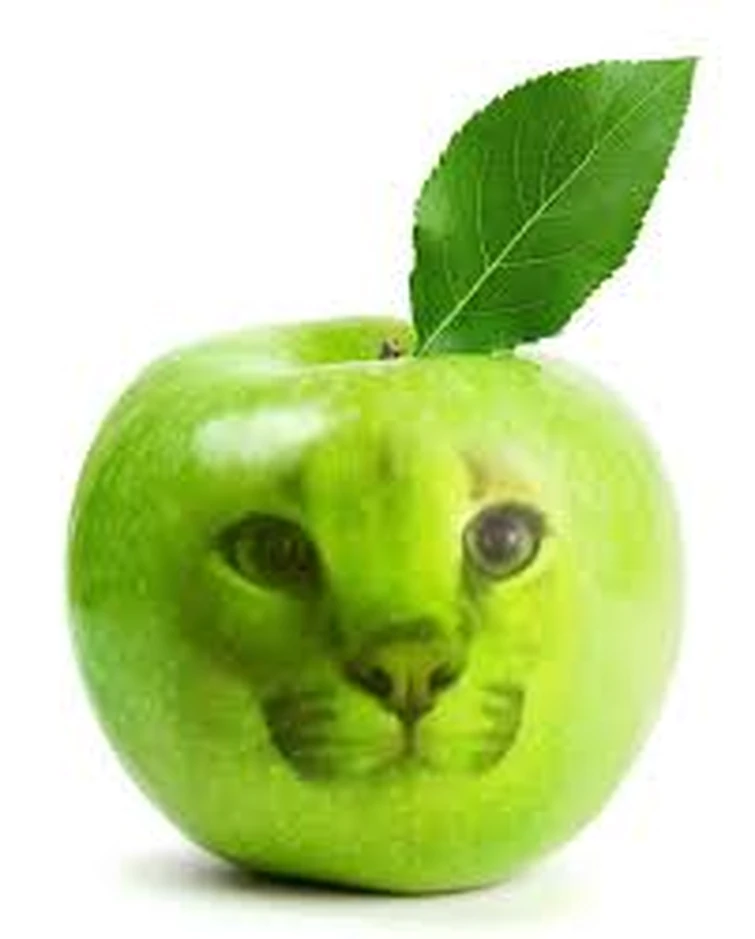 Foods floppa eat (how they are designed) | Fandom