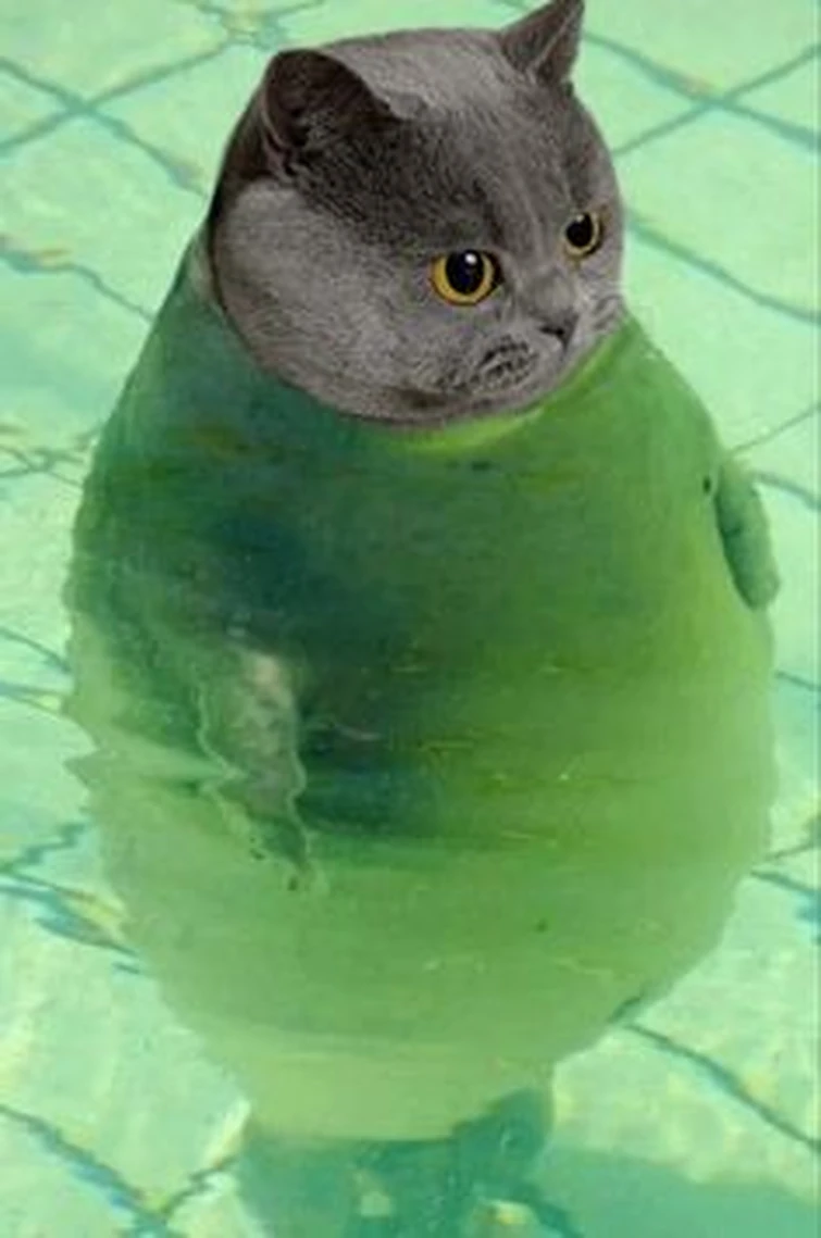 regretevator tier list i made | Fandom