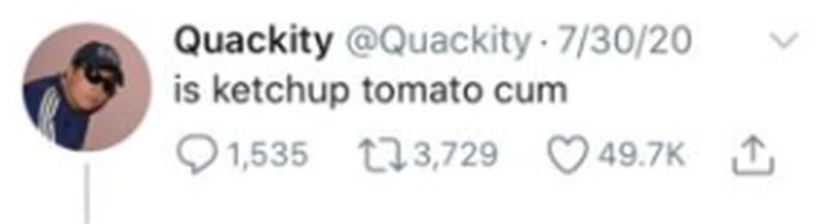 posting Quackity tweets | Fandom