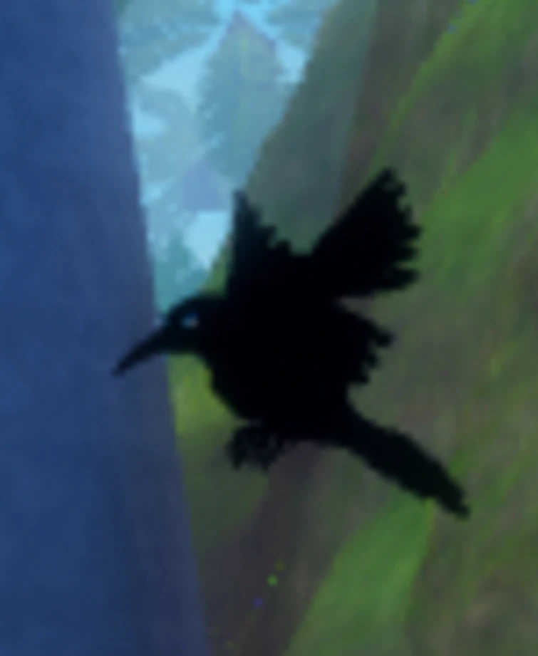 Discuss Everything About Feather Family Wiki | Fandom