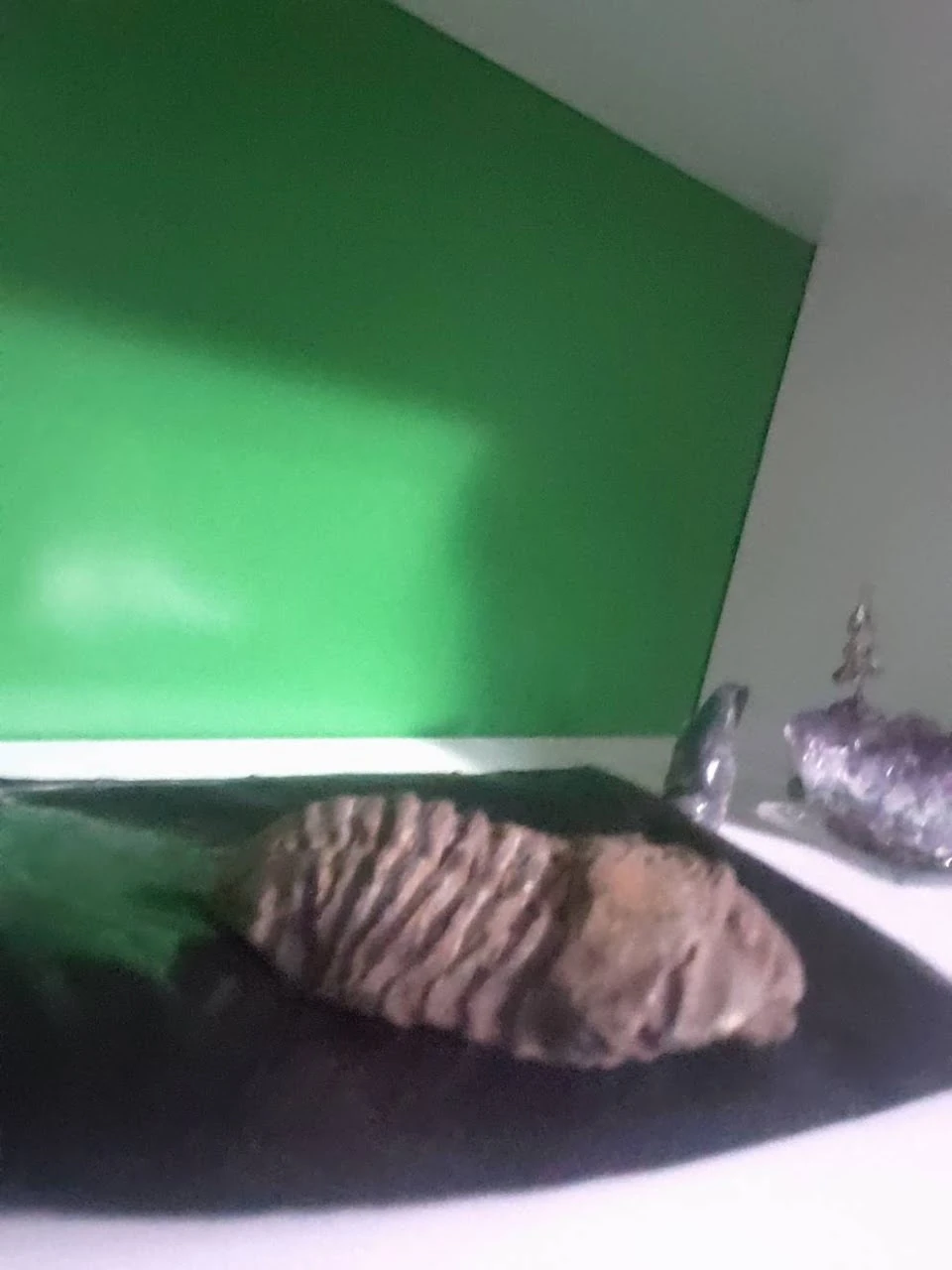 First post in a while | Fandom