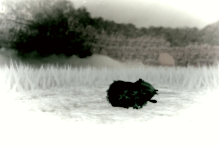 Eulo Photoshoot!🌱🪴📸 | Fandom