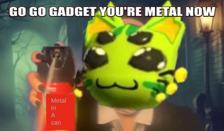 CHAT IZ THIZ REAL? | Fandom