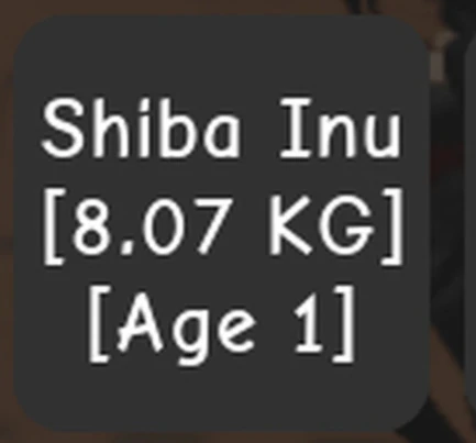 TRADING TITANIC SHIBA | Fandom