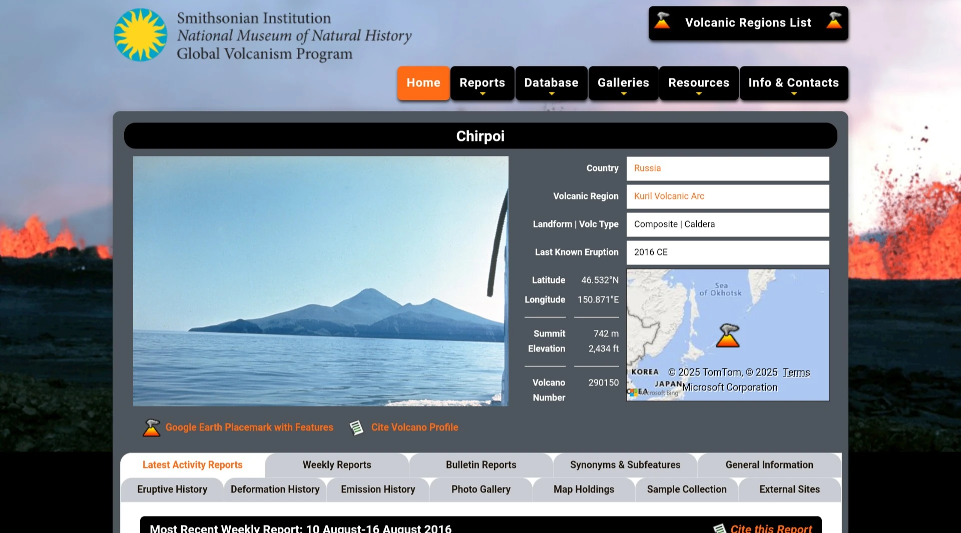 Face reveal (not really. I mean obviously this isn't me but I'd like to clarify that) | Fandom