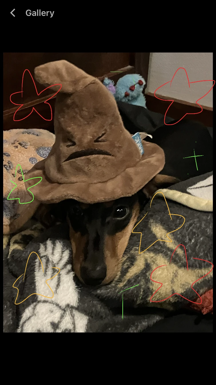Repost my puppy: | Fandom