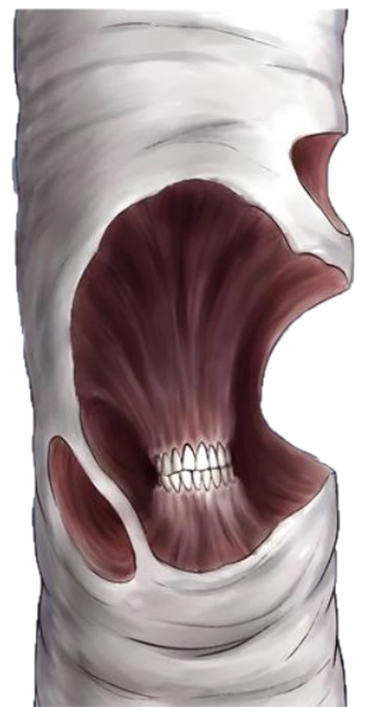 Discuss Everything About Nico's Nextbots Fanmade Wiki | Fandom