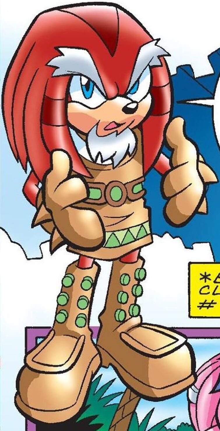 The worst Sonic character | Fandom